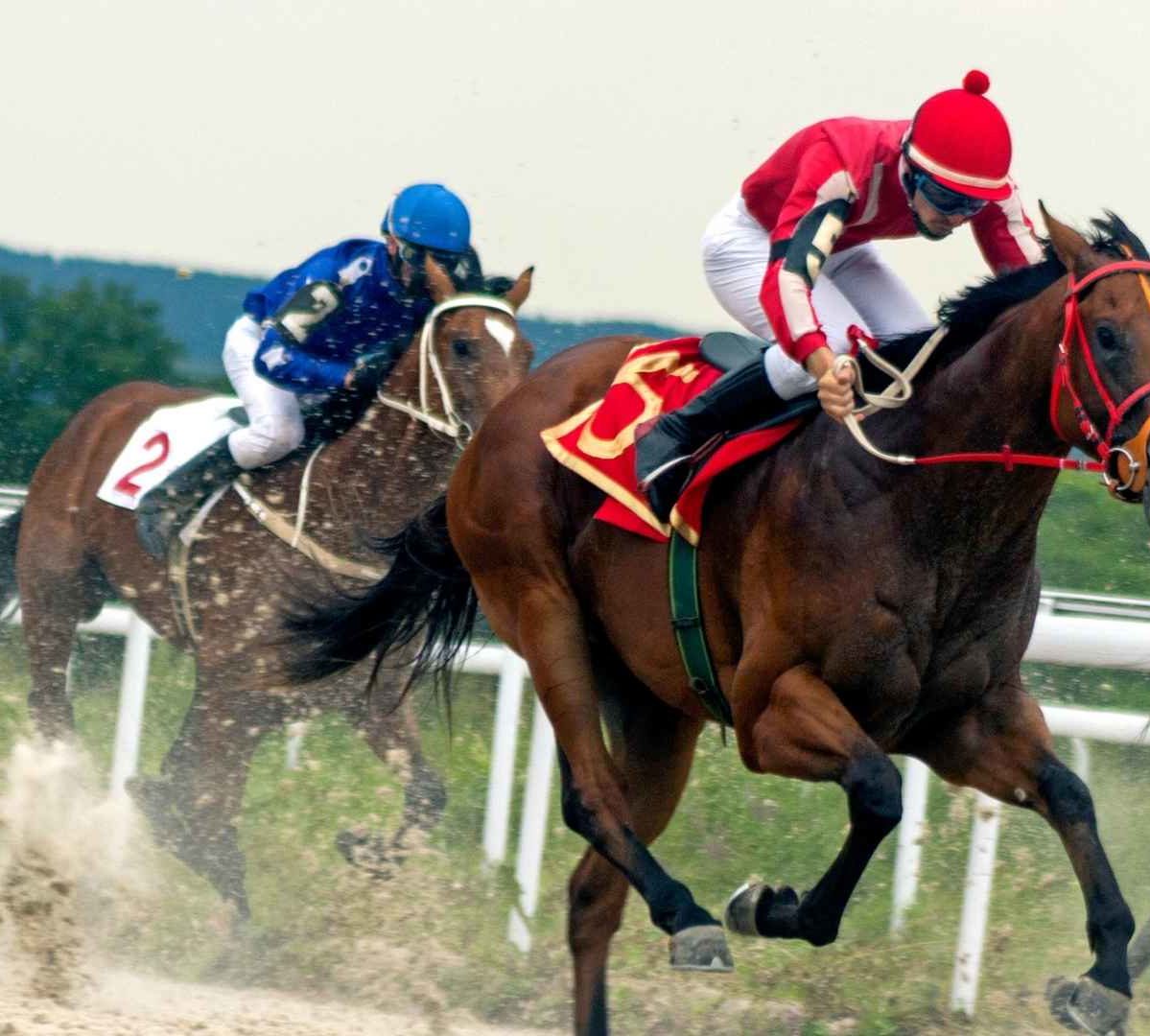 Galway Races | Events in Galway | Claregalway Hotel