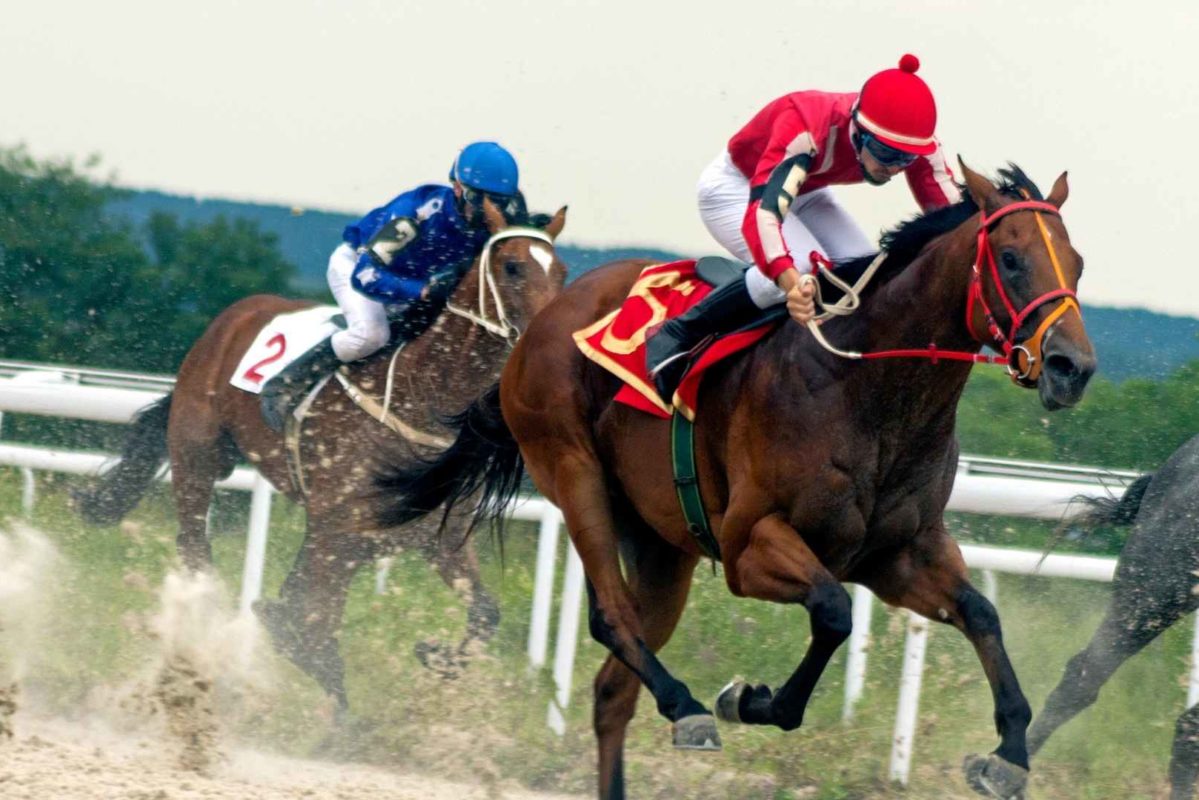 Galway Races | Events in Galway | Claregalway Hotel