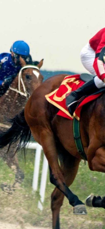 Galway Races | Events in Galway | Claregalway Hotel