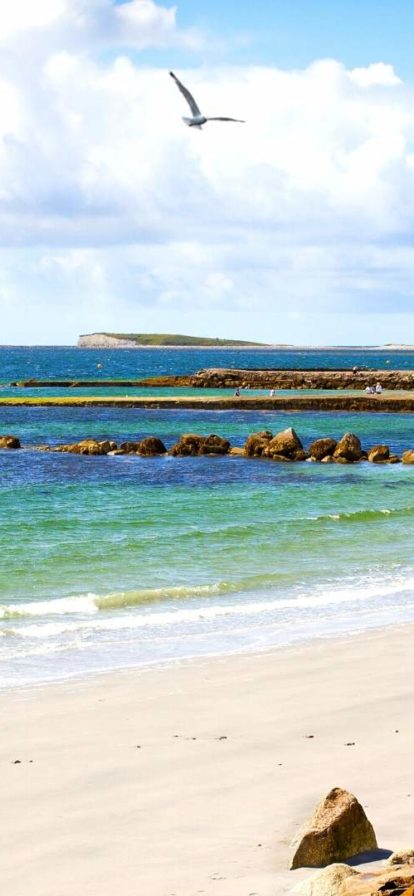 Things for families to do in Galway | Claregalway Hotel