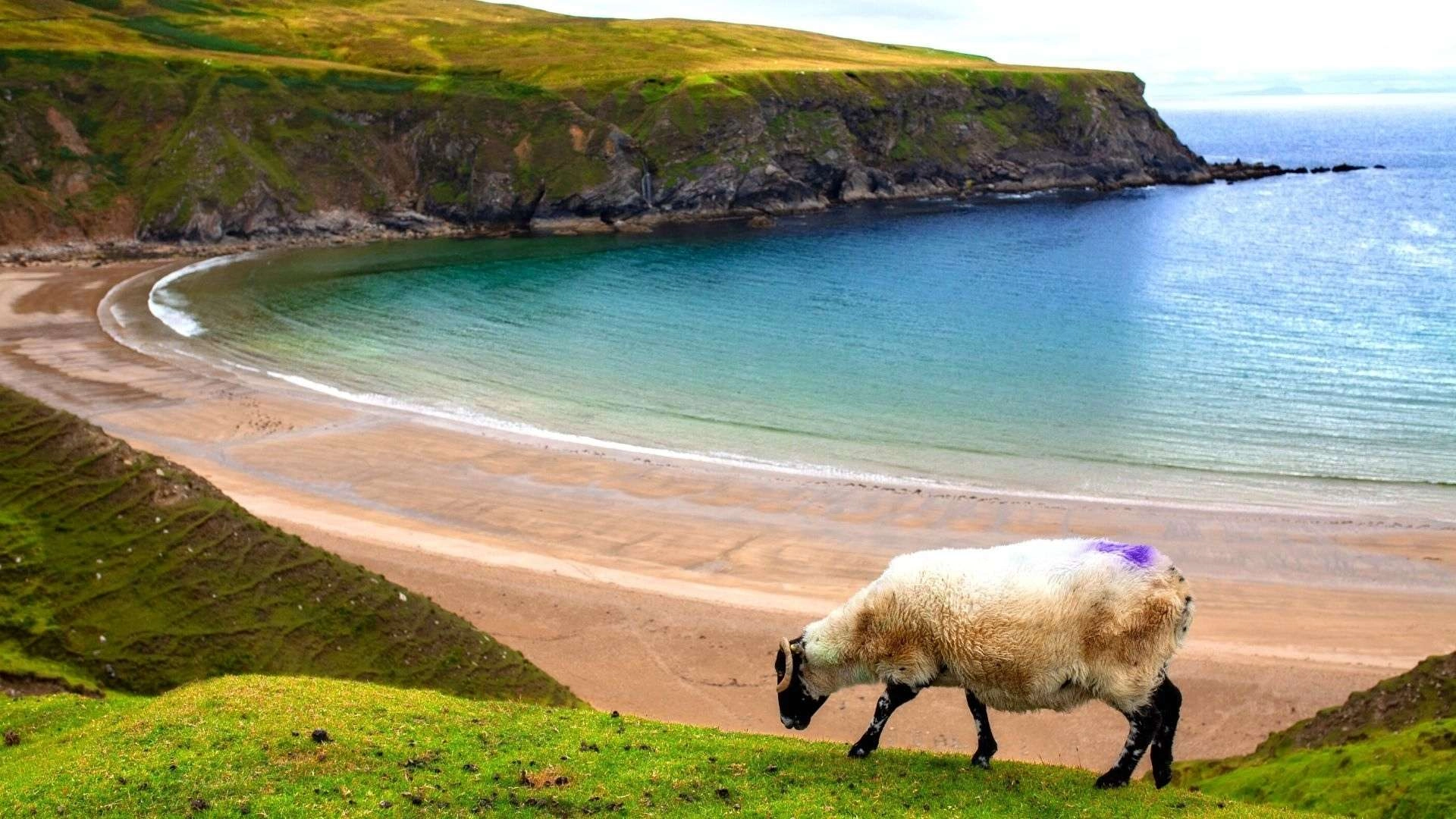 Galway Beaches | Best Beaches In Galway| Claregalway Hotel