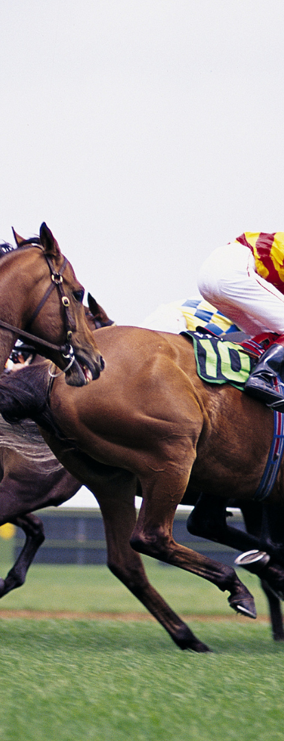 Galway Races | Events in Galway | Claregalway Hotel