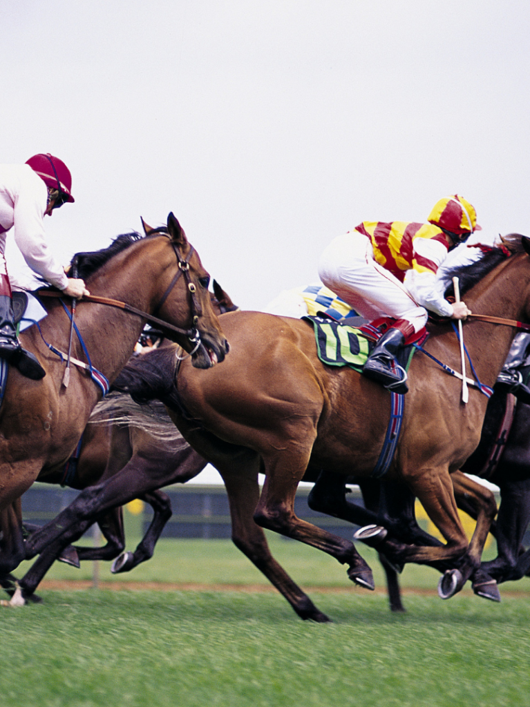 Galway Races | Events in Galway | Claregalway Hotel