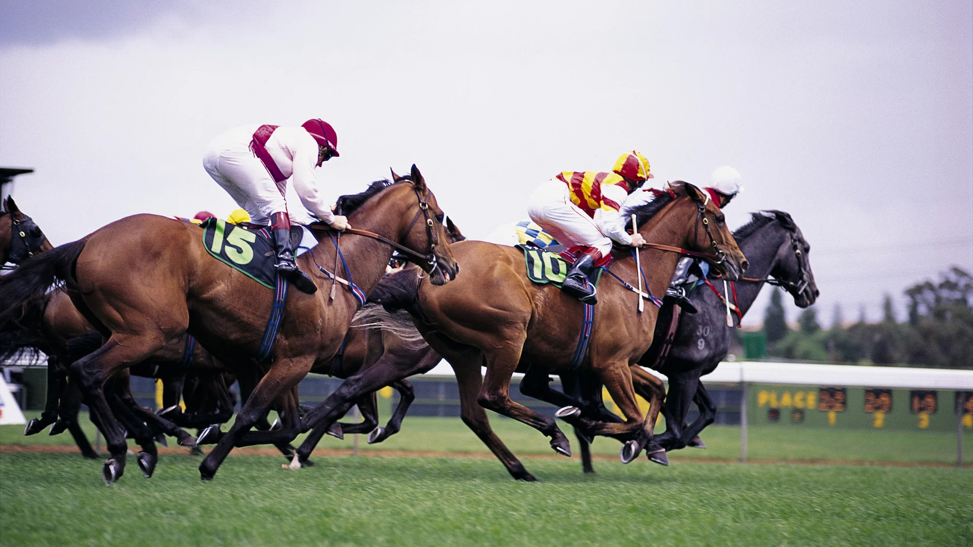 Galway Races | Events in Galway | Claregalway Hotel